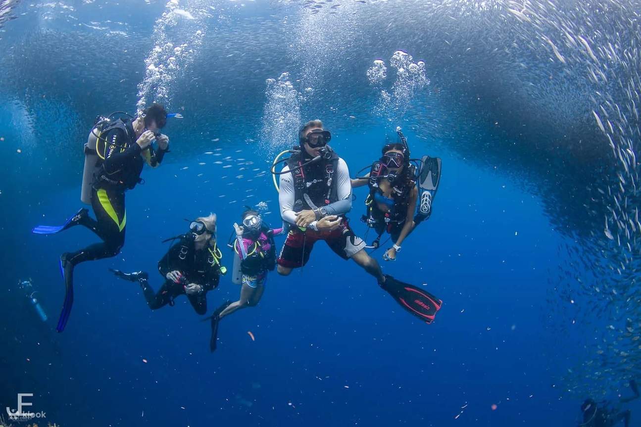 参加薄荷岛 Padi Ow 潜水员课程探索深处 在 Padi 5 星级潜水度假村潜水 Klook客路